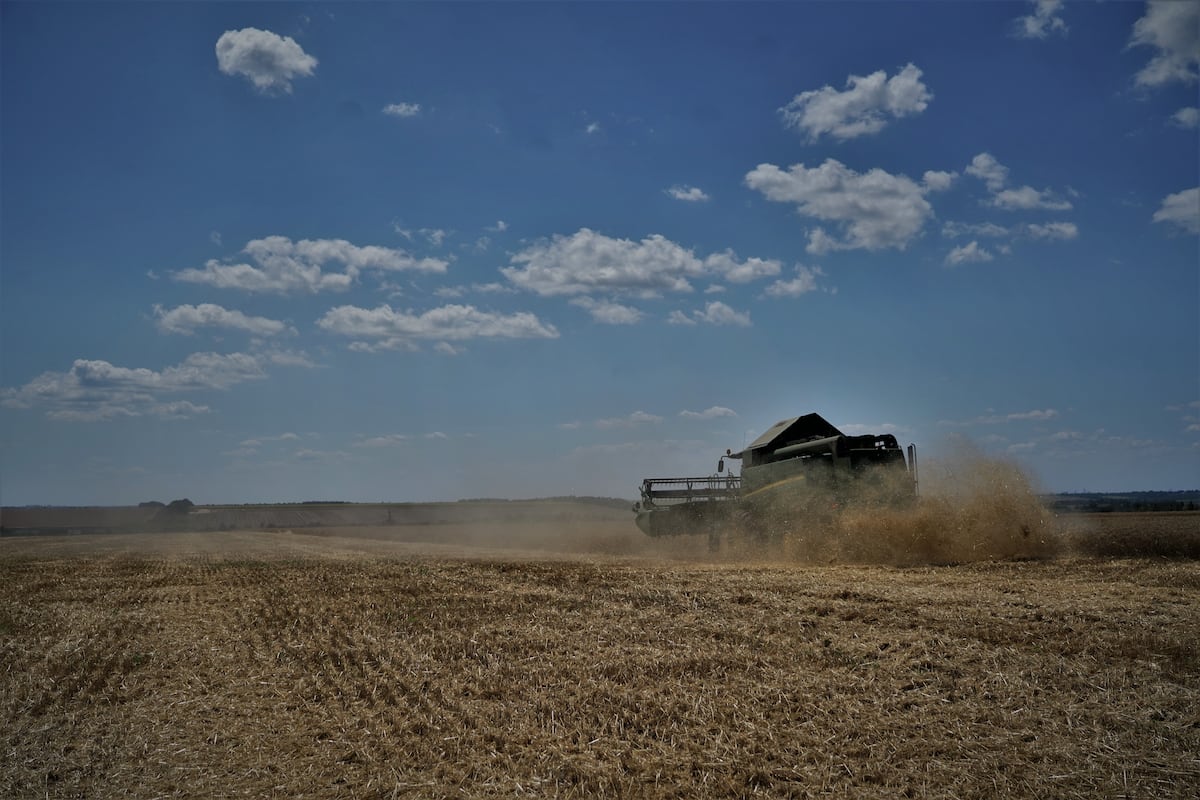 El Cambio Climático Amenaza Los Rendimientos Agrícolas Y La