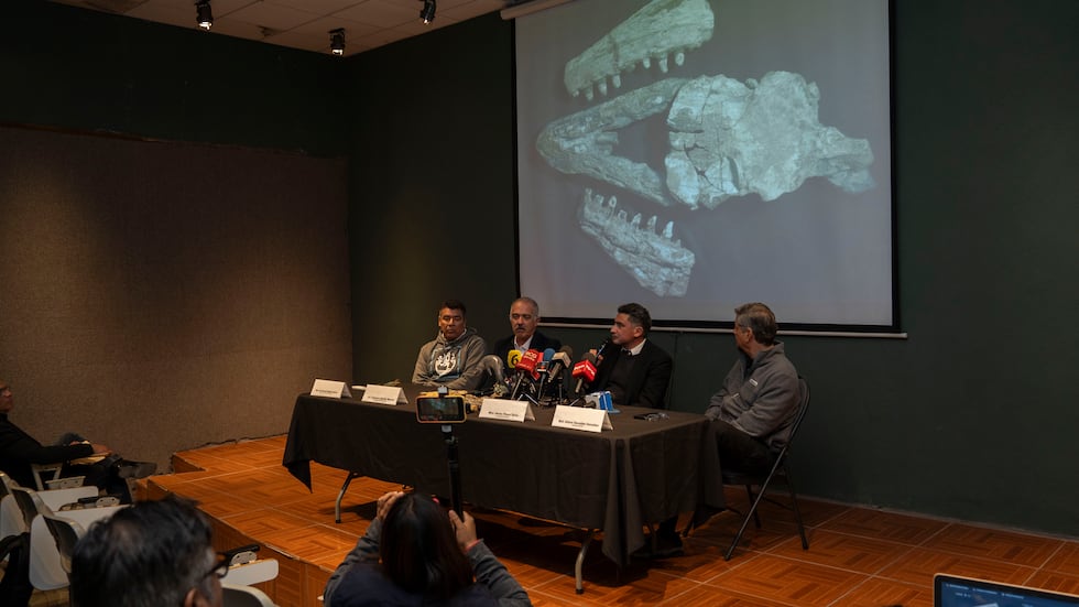 ‘Prognathodon cipactli,’ a sea monster from the age of the dinosaurs ...