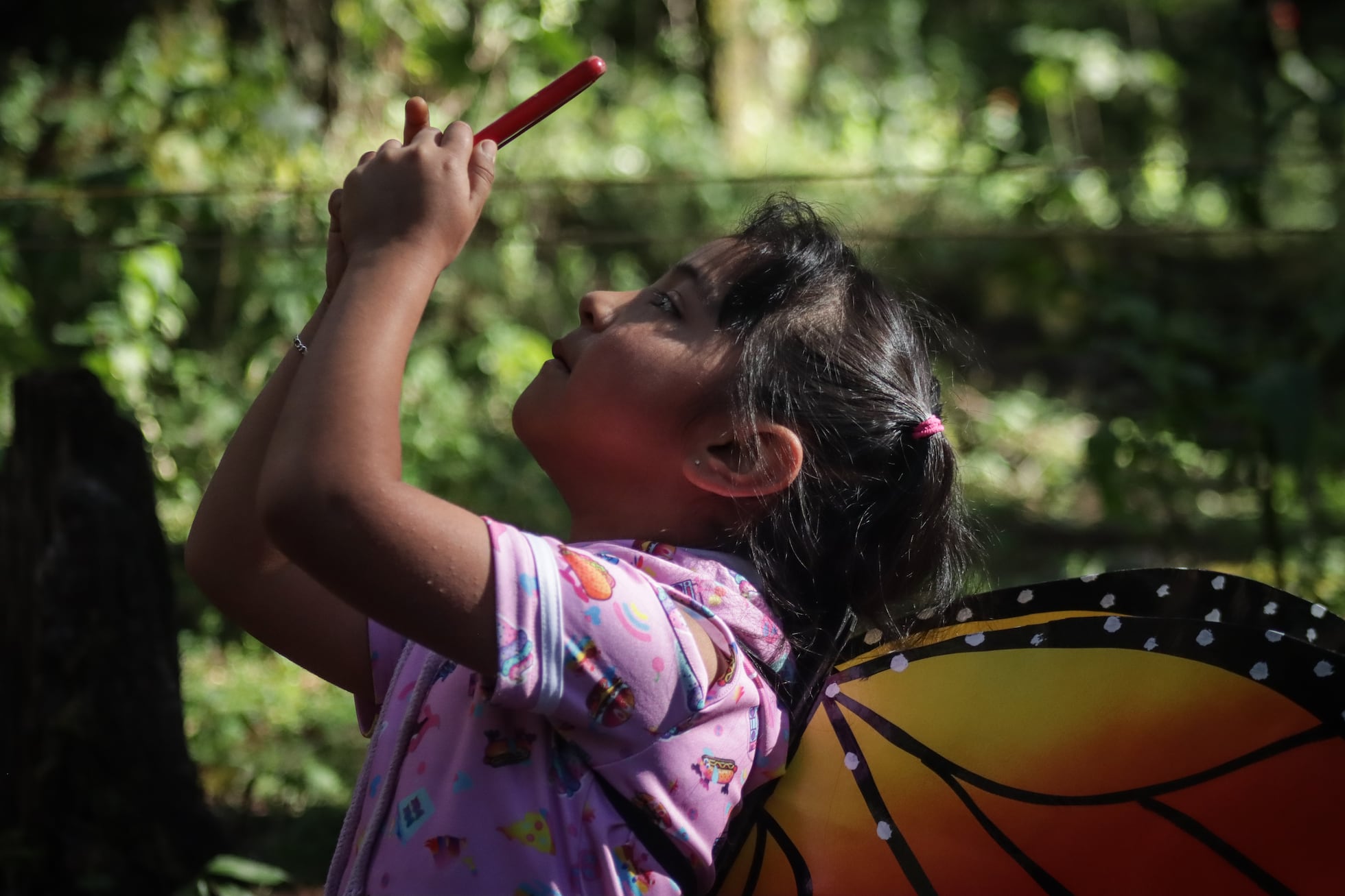 Cinco años sin justicia para el activista Homero Gómez | Fotos | EL ...