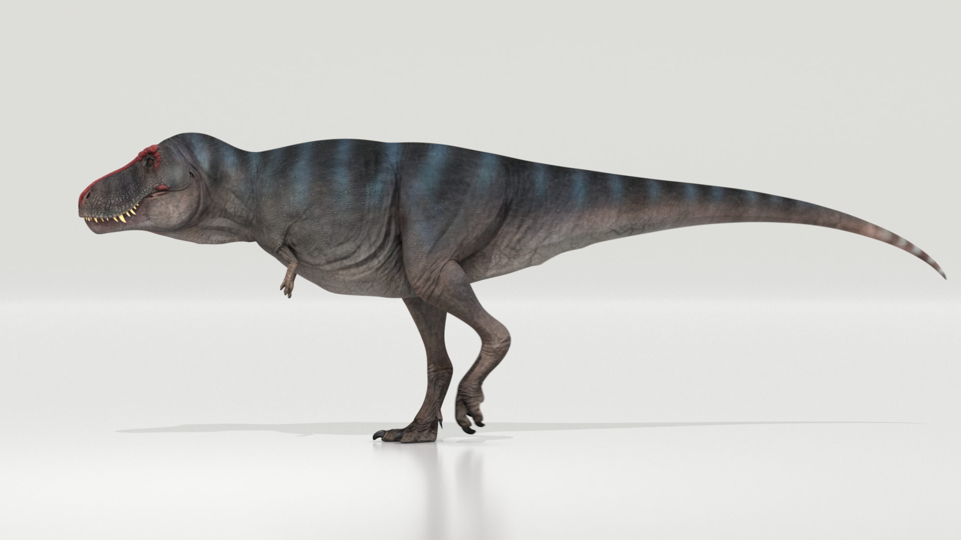 Dinosaurs: Why did ‘T. rex’ have such tiny arms? | Science | EL PAÍS ...