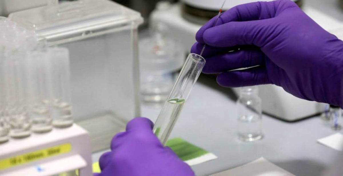 PharmaMar recibe una autorización clave de Bruselas para su nuevo ...