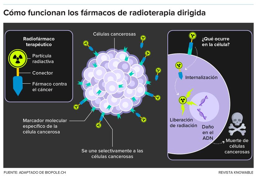 La nueva generación de fármacos radiactivos ataca al cáncer con precisión molecular | Salud y ...