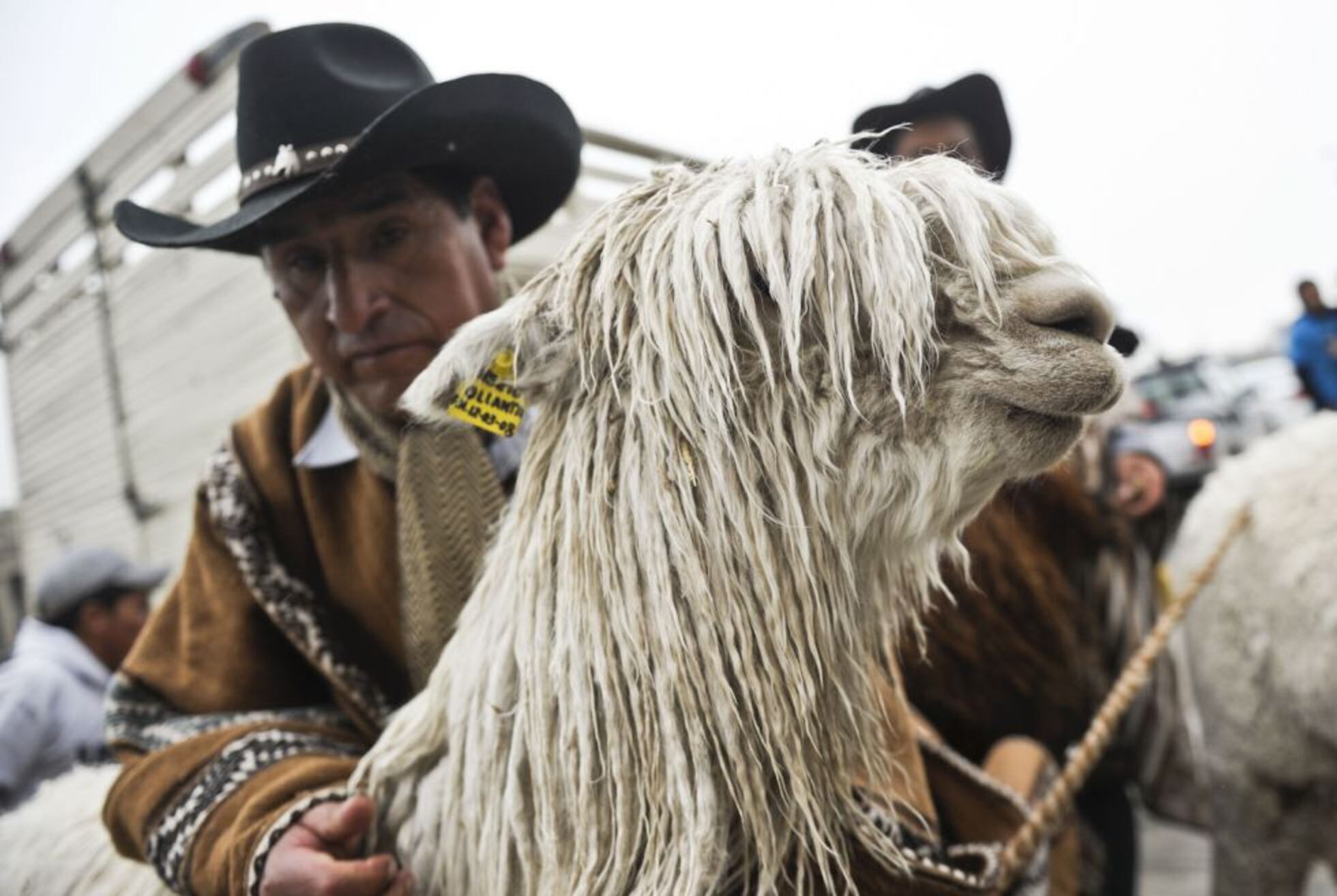 El animal que puede vencer al sida | Fotos | Planeta Futuro | EL PAÍS