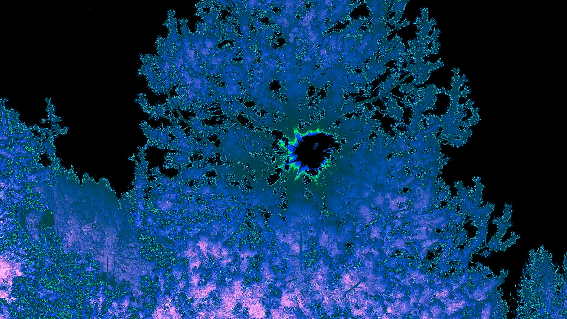 Carlos Casas i Filipa Ramos: “La natura és estrangera a casa seva ...