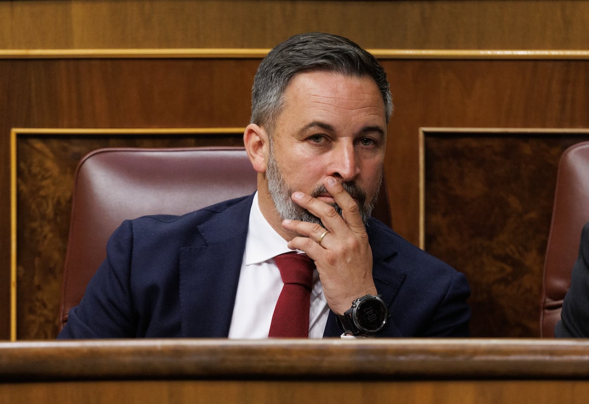 El elegante Abascal | Opinión | EL PAÍS