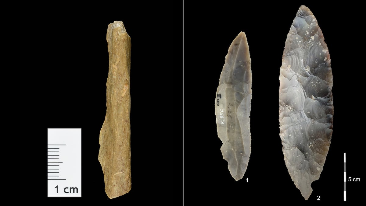 The discovery of early human remains north of the Alps raises new ...