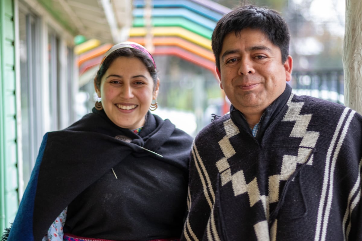 Mapuches: La lengua mapuche en la primera infancia: “Todo puede ...