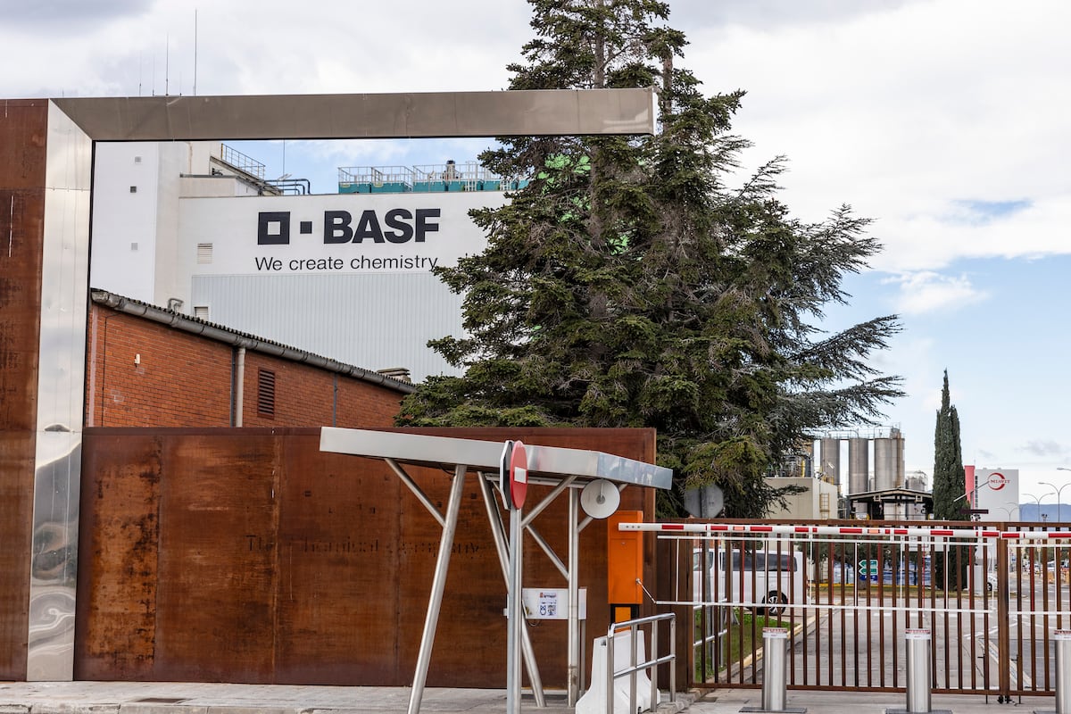 Basf planea invertir más de 500 millones en una nueva factoría en Tarragona | Empresas | Cinco Días