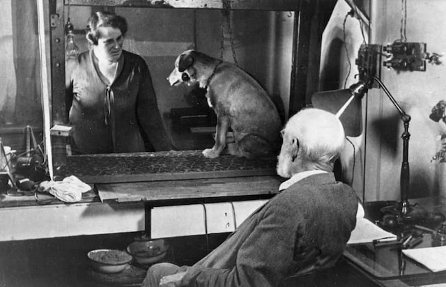 El perro de Pávlov y su relación con el efecto placebo | Ciencia | EL PAÍS