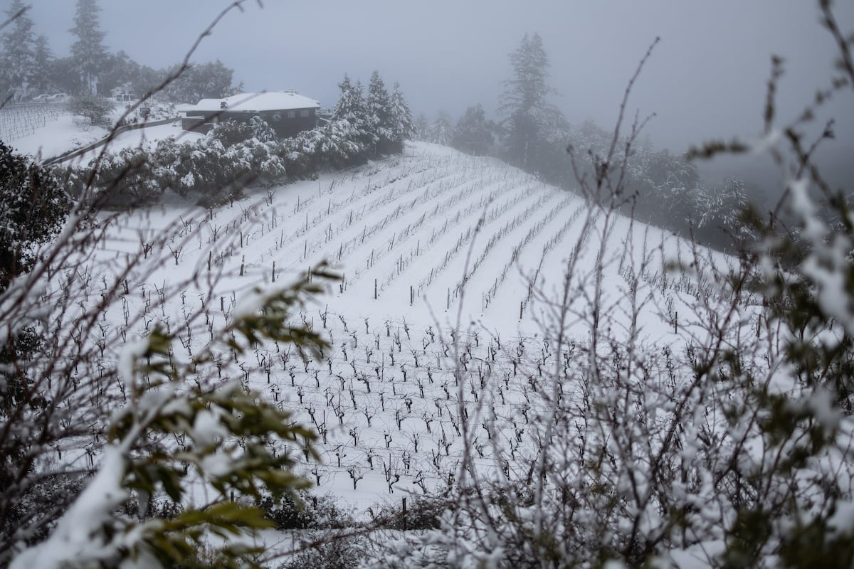 California faces more wind, snow in multistate storm | U.S. | EL PAÍS ...