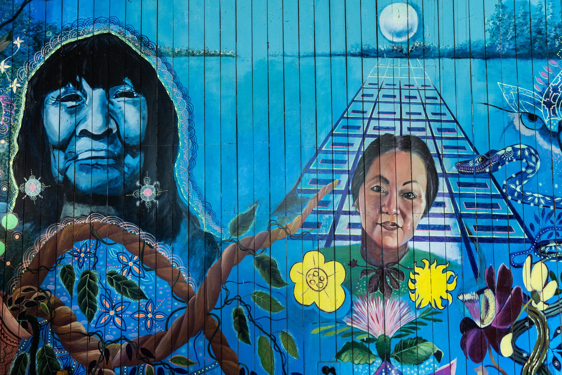 Chana, the research station in the Peruvian jungle set up to rescue ...