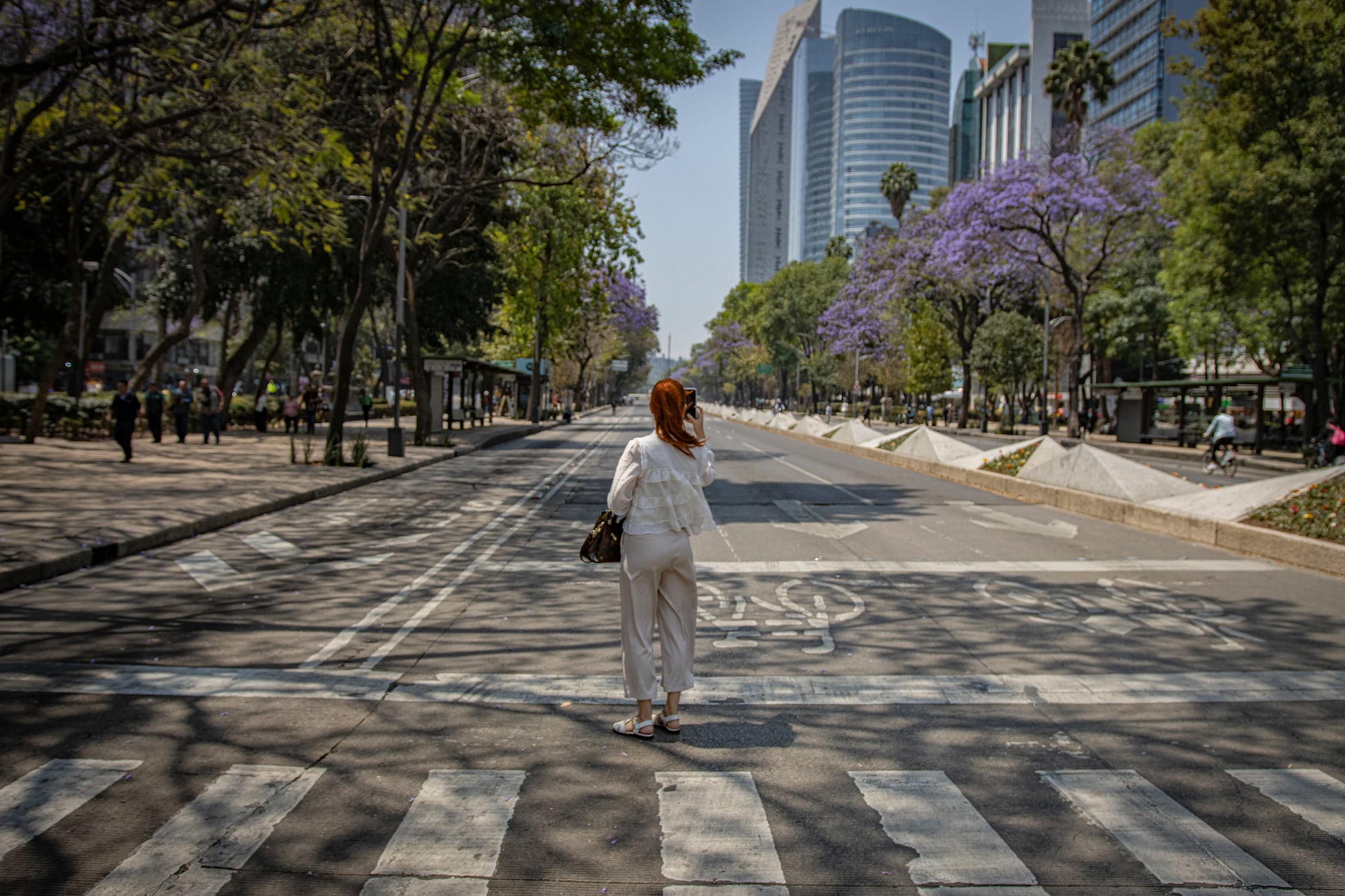 Paro de la CNTE: Los maestros desquician la capital con bloqueos sobre ...