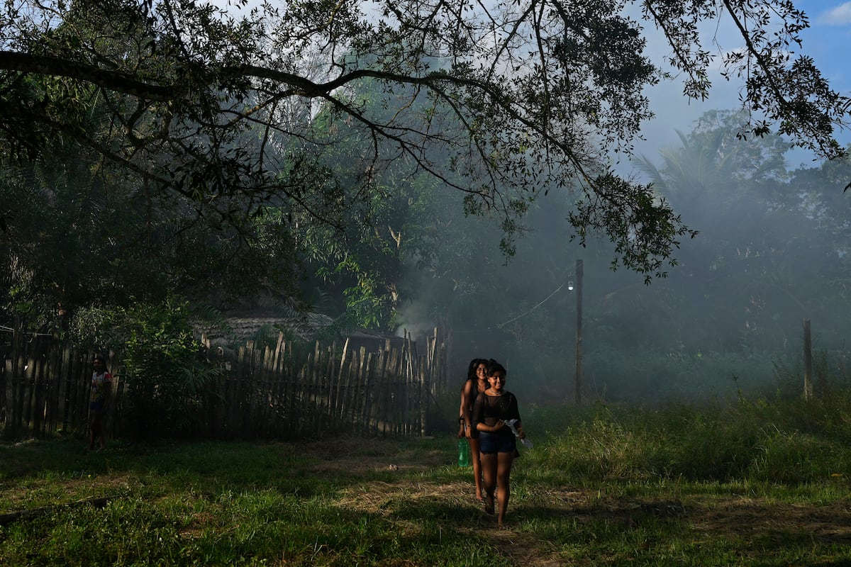 Economic power of Amazon rainforest could give big boost to GDP and job ...