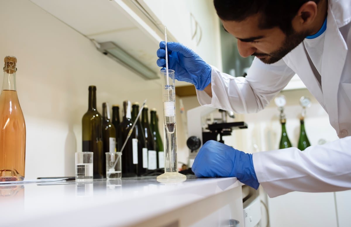 A protein may signal alcohol-related cognitive impairment | Science ...