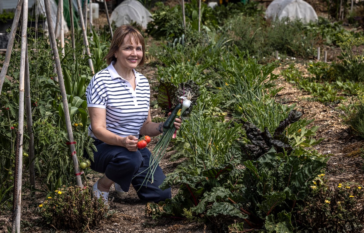 MARÍA JOSÉ SAN ROMÁN: Así es María José San Román, la chef elegida por ...