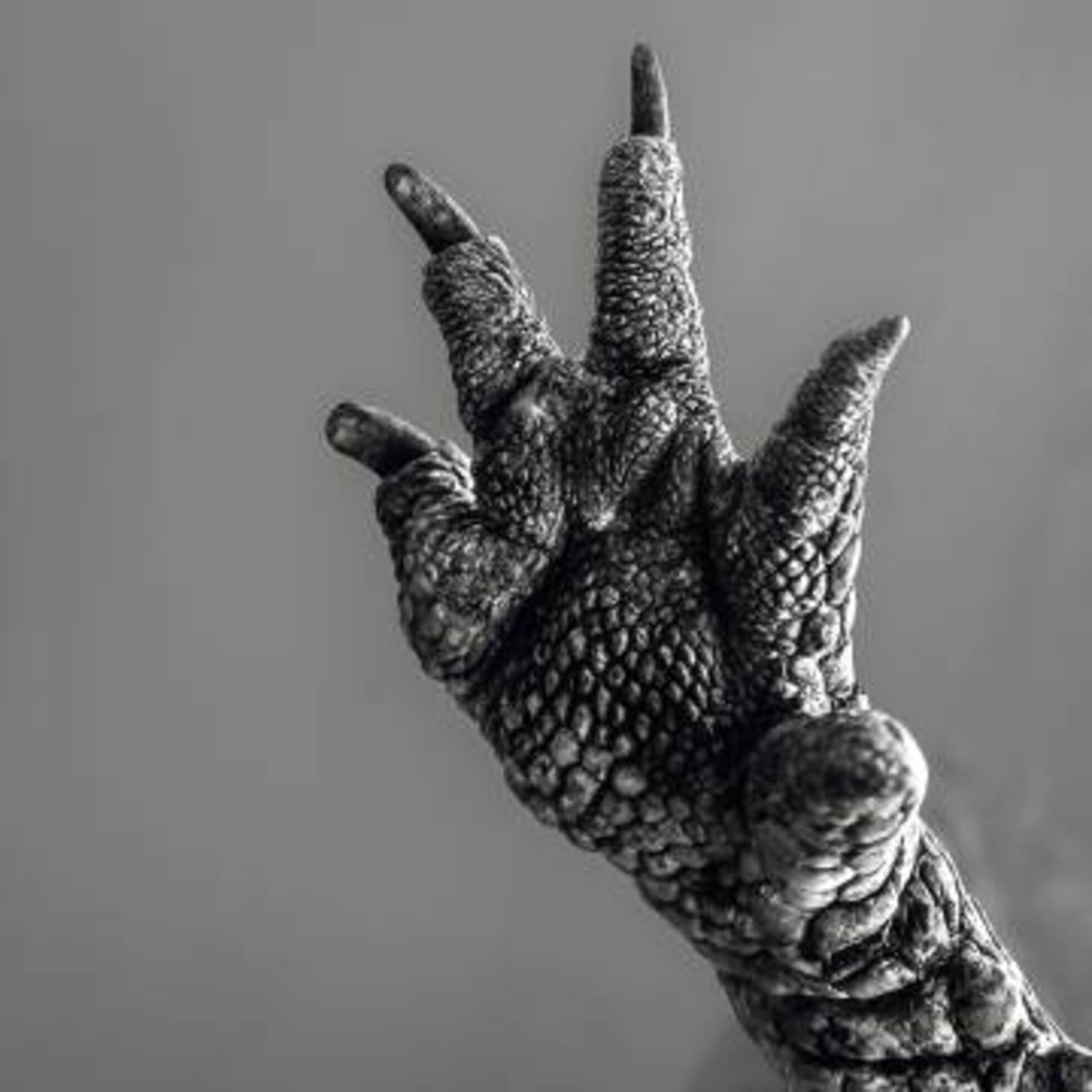 La japonesa que bucea a pleno pulmón junto a ballenas y cocodrilos | EL ...