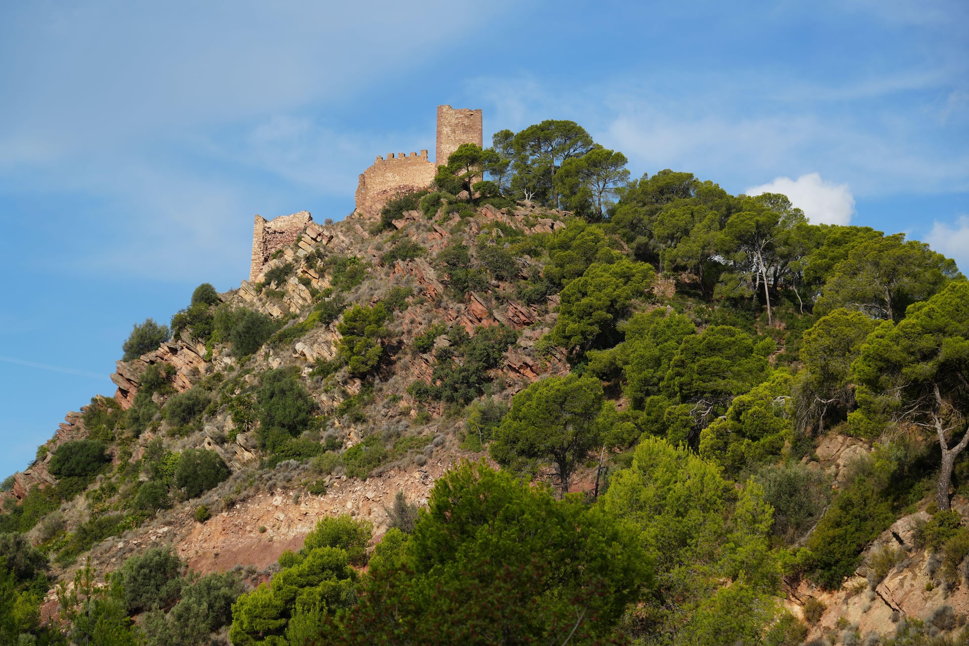 De excursión por el parque natural de la Sierra Calderona | Escapadas ...
