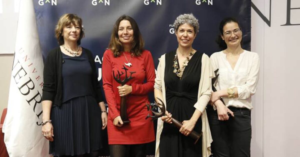 Premio al periodismo que ahonda en las claves de la violencia machista ...