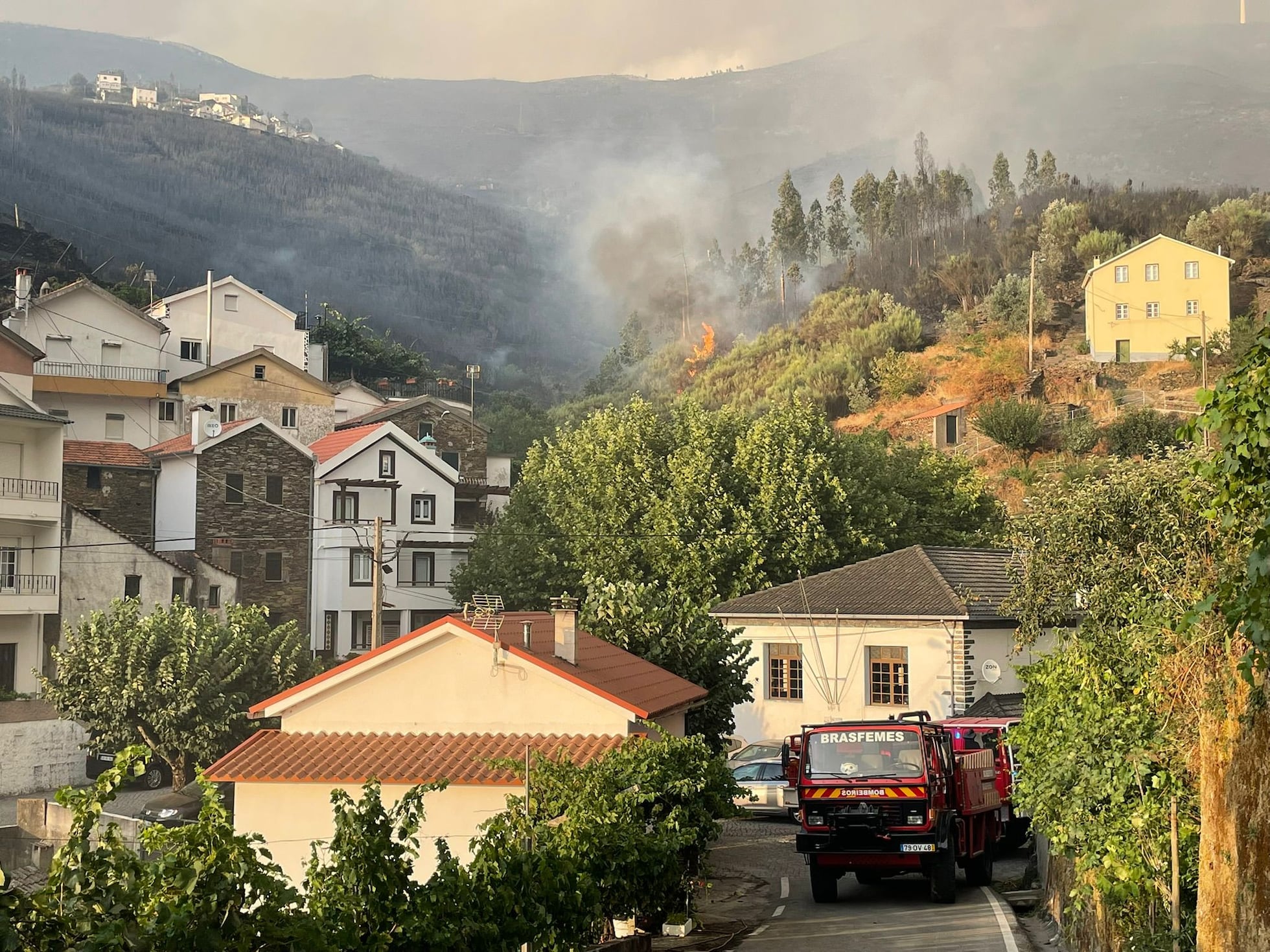 Los incendios en Portugal han calcinado cerca de 275.000 hectáreas ...