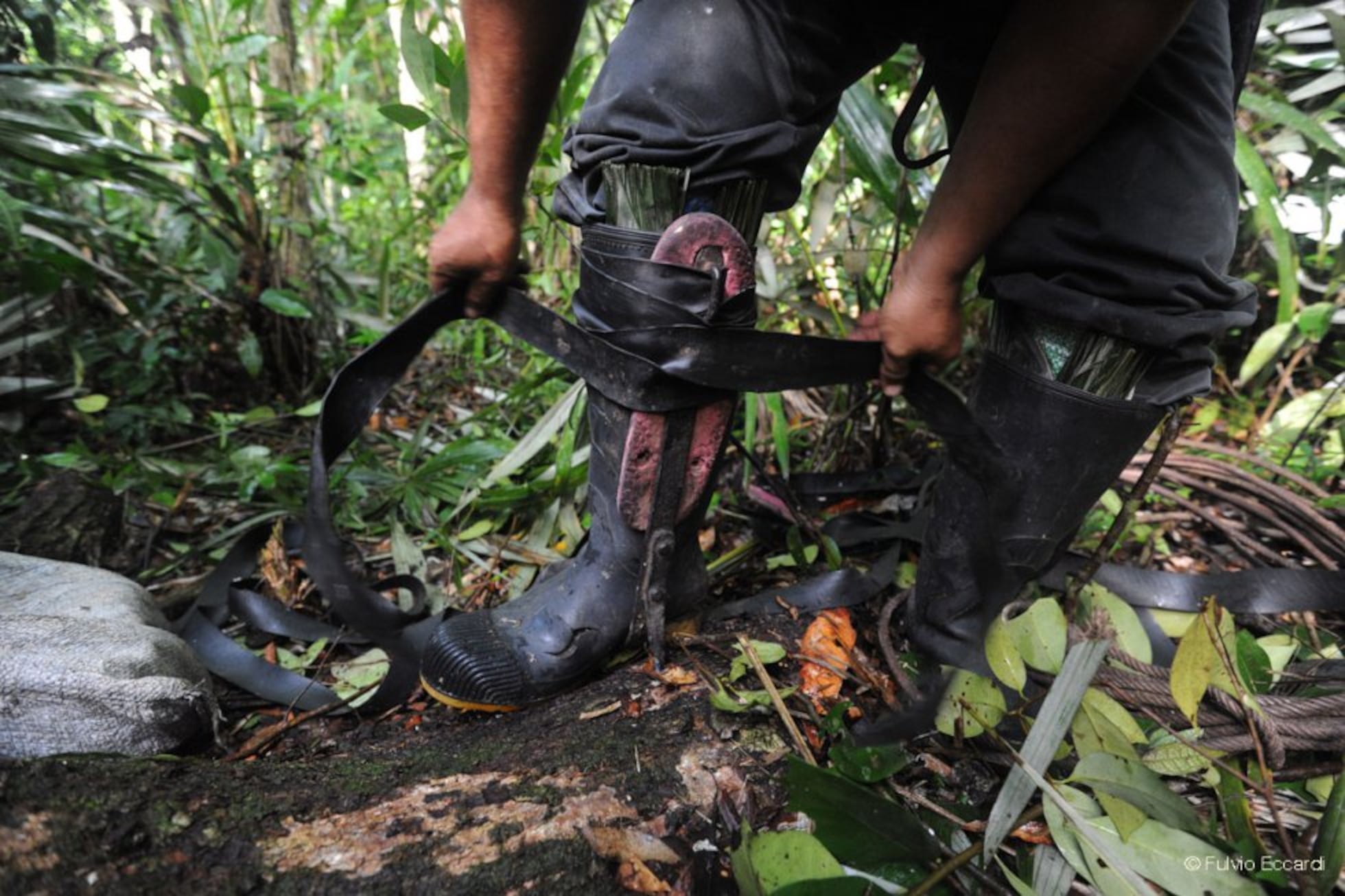 Chicleros, guardianes de la selva maya | Fotos | Planeta Futuro | EL PAÍS