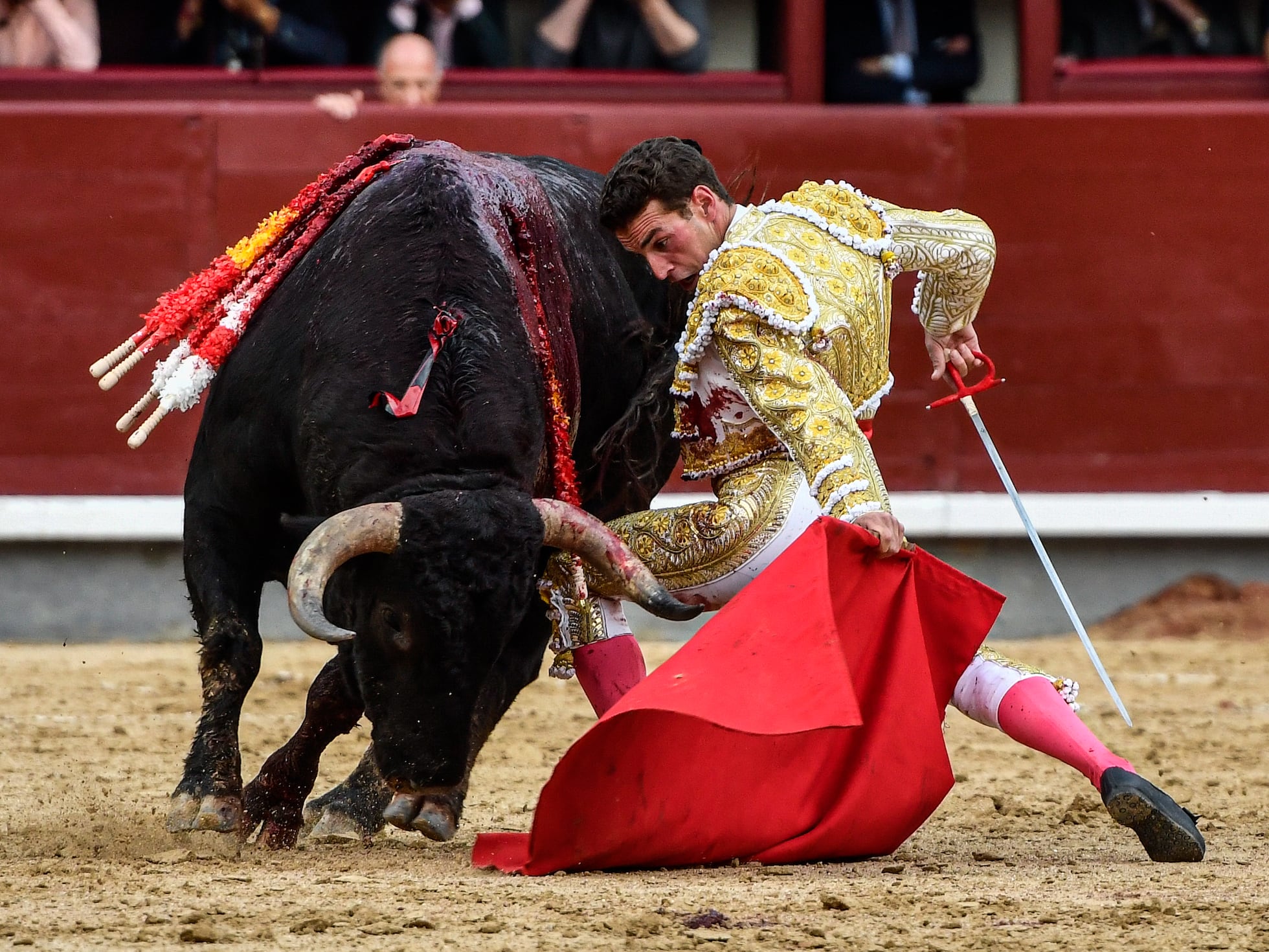Fernando Adrián, Roca Rey y Daniel Luque, tres caras de una oscura ...