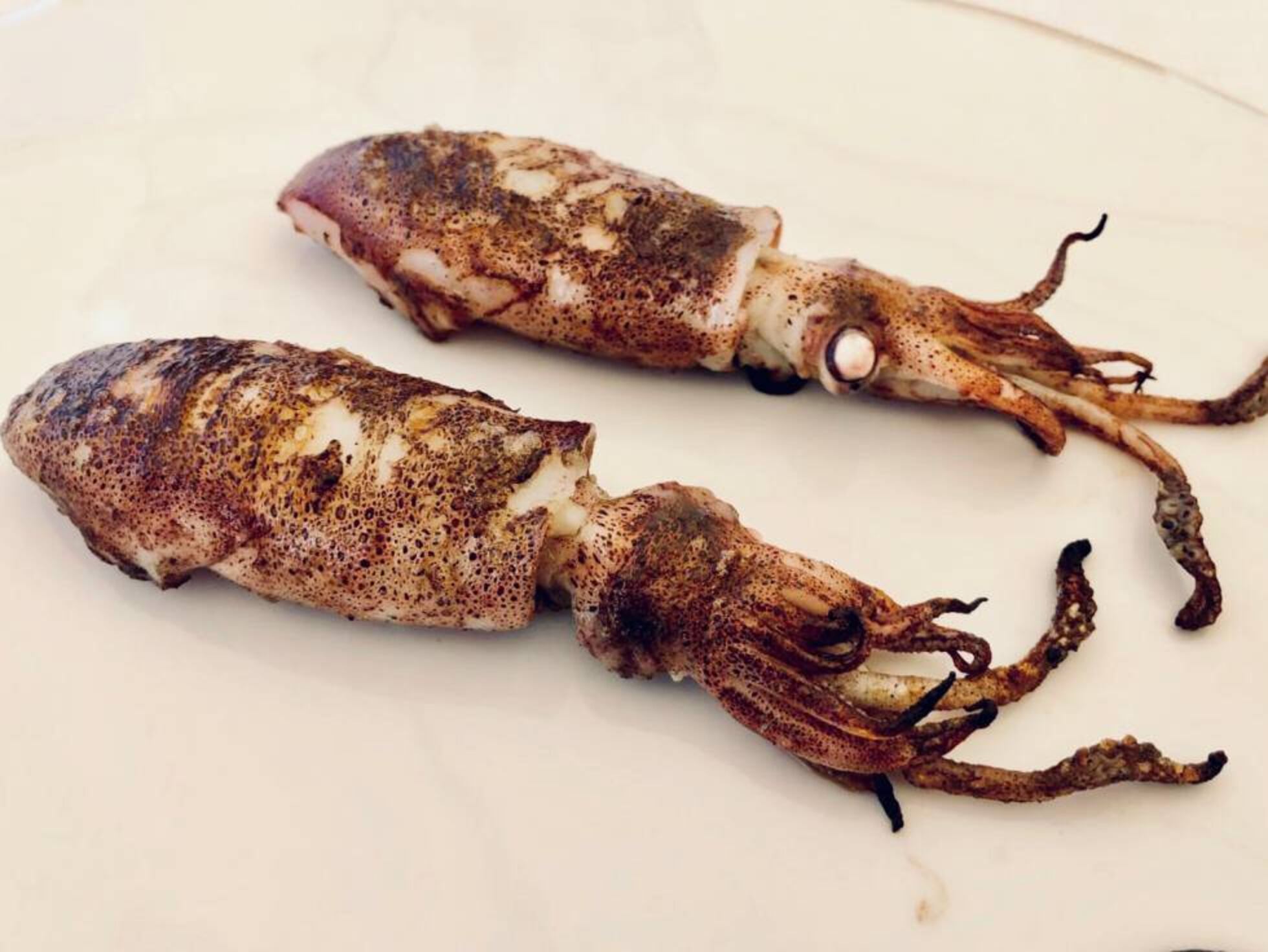 Los chipirones son cosa del verano | Gastronotas de Capel | EL PAÍS