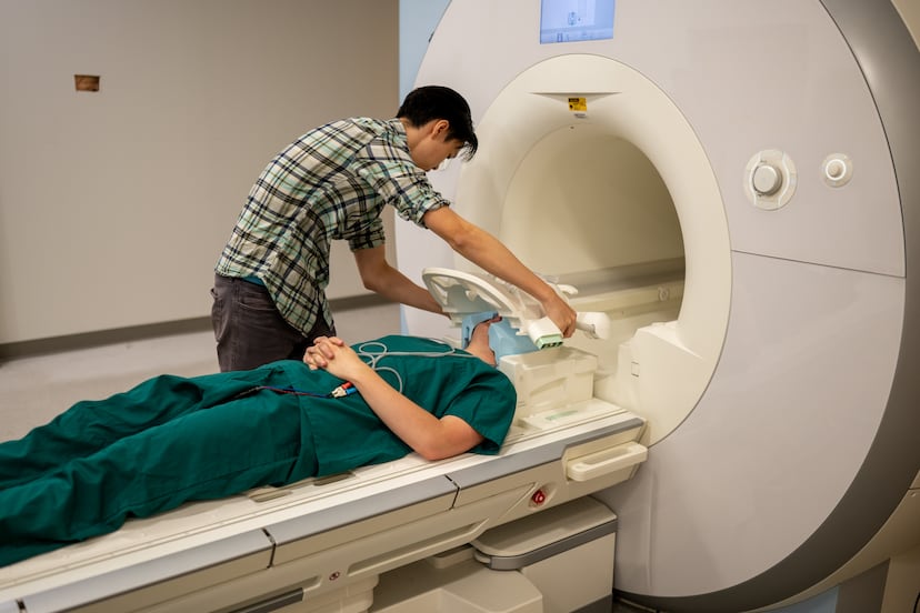 Un descodificador lee los pensamientos grabados por un escáner cerebral ...