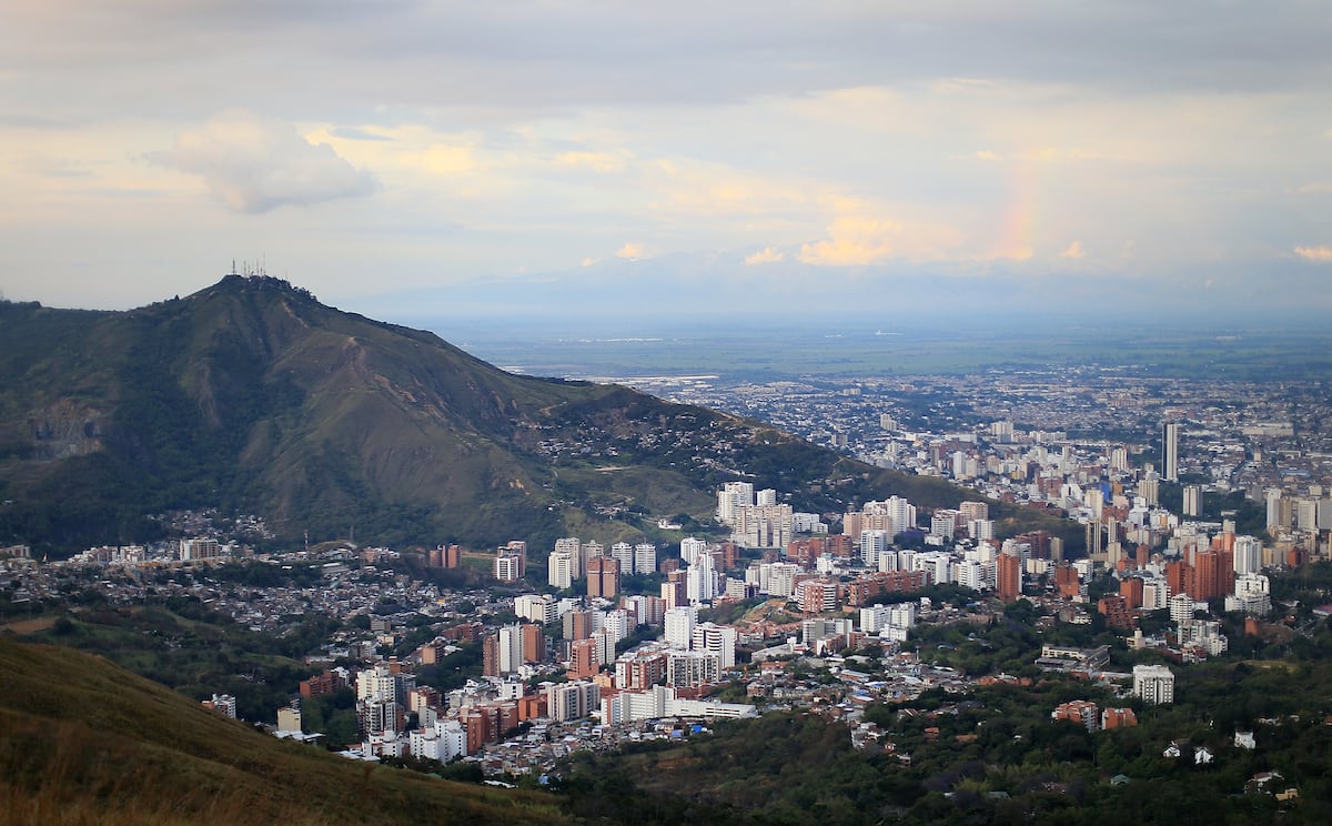 Cali será la sede de la COP 16, la cumbre mundial de biodiversidad | EL ...