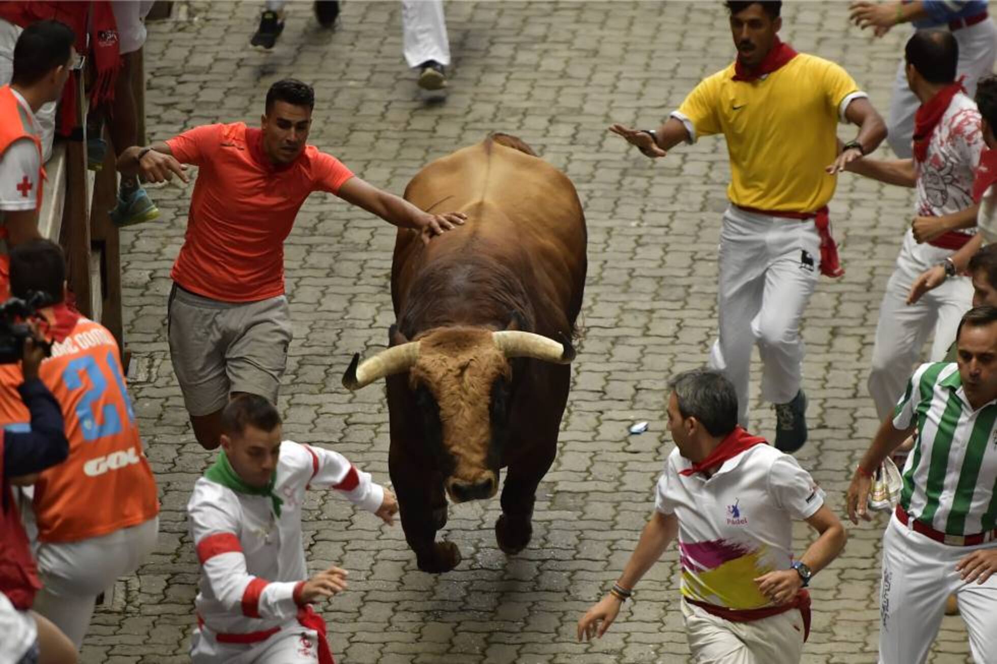 Running of the bulls: Fast run at third Running of the Bulls, as one ...
