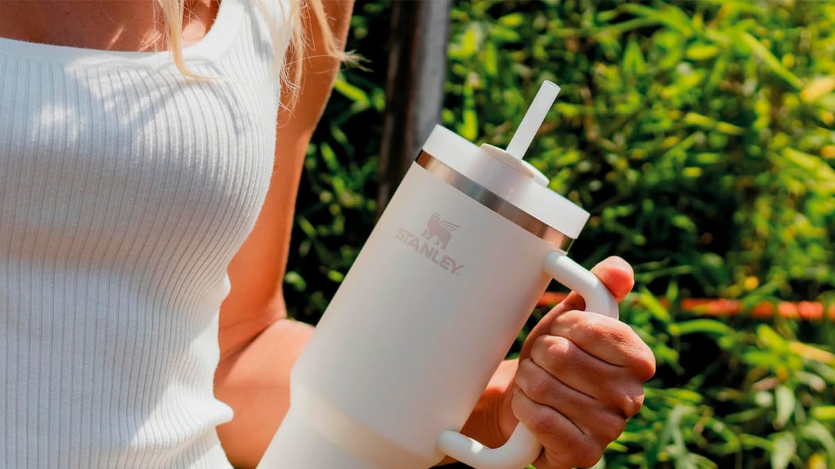 Stanley Cup: el termo viral de TikTok y otras opciones baratas para ...