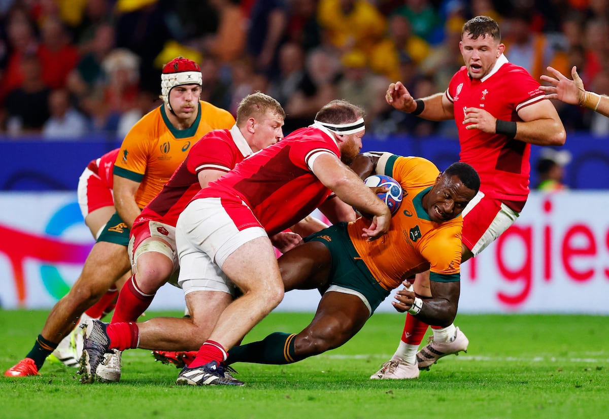 Mundial de rugby: El gran descalabro del rugby australiano | Deportes ...