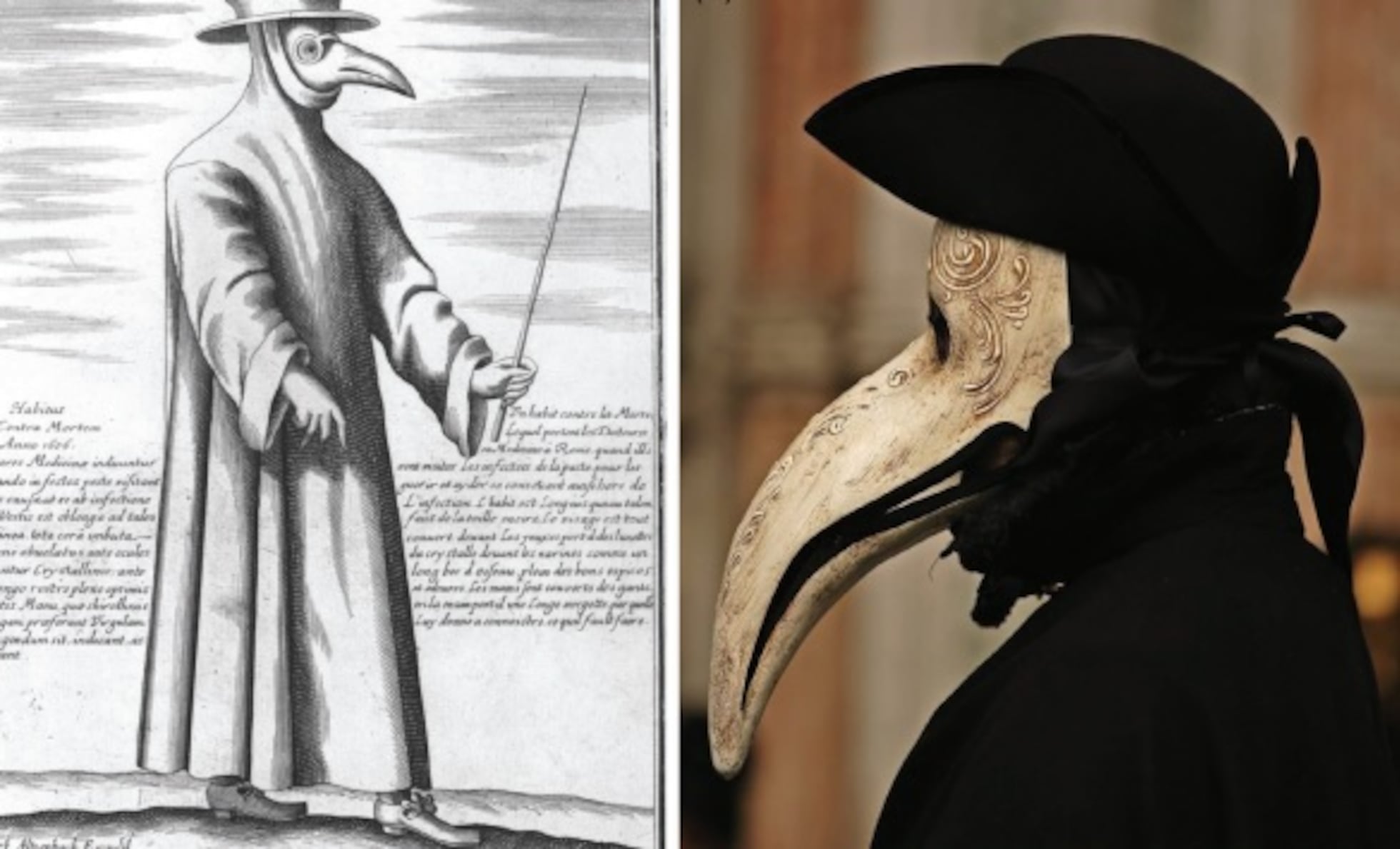 La peste negra: Las lecciones de la peor pandemia de la historia ...