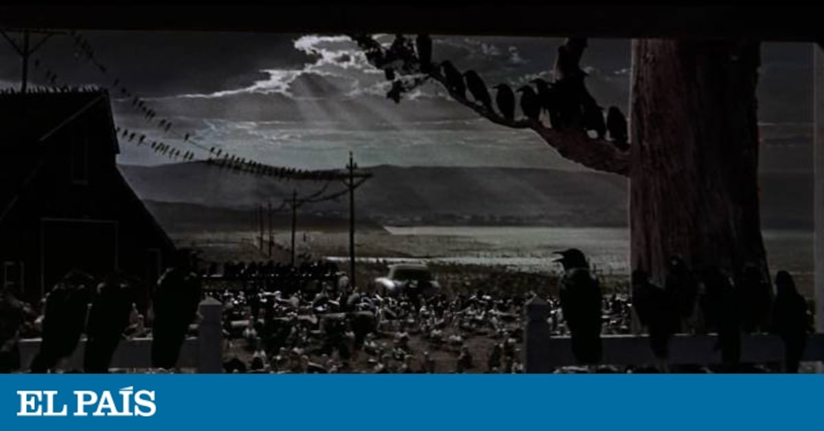 Covid-19: El futuro que se nos vino encima | Opinión | EL PAÍS