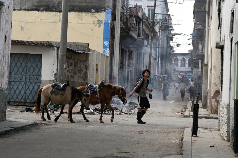 Cuba opens up to investments from Cubans living abroad | International ...