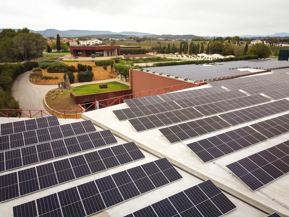 Una bodega centenaria contra el cambio climático | Sociedad | EL PAÍS