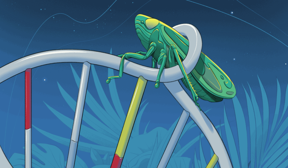 How can we fight insects that can infect humans with diseases without ...