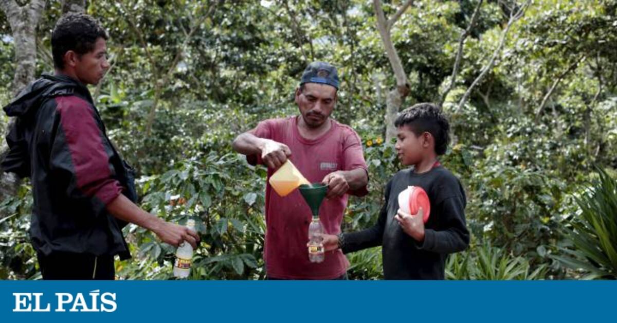 Y si el café de tu desayuno pudiera ayudar a un niño de Nicaragua ...