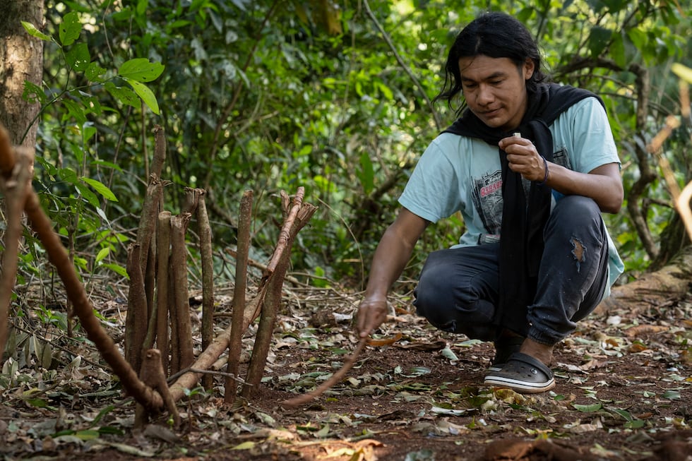 Jasy Porã, la comunidad guaraní que combina turismo y reforestación en Iguazú | América Futura ...