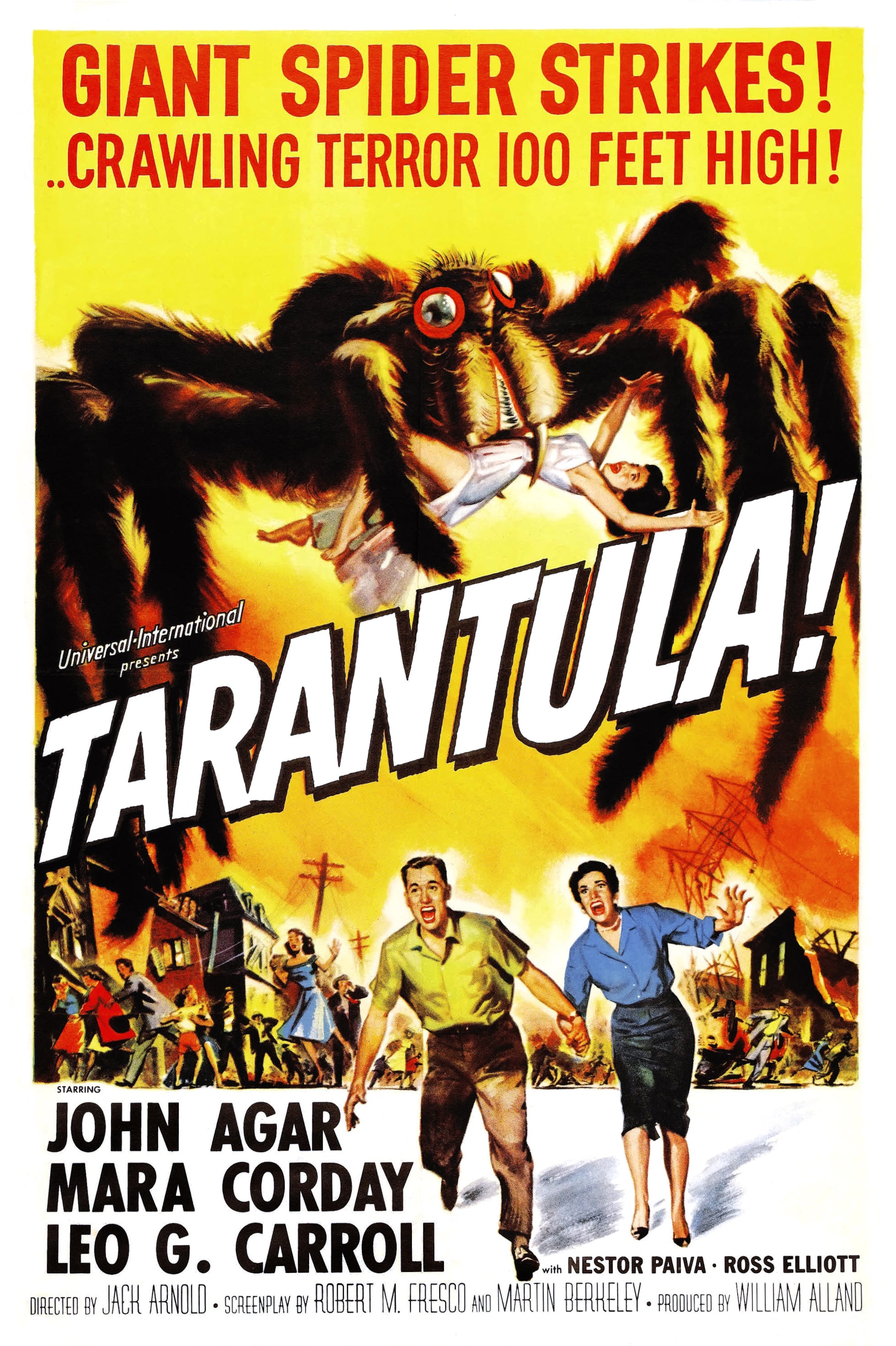 ‘Eight legs is too many legs!’: Why spiders have reigned supreme in ...