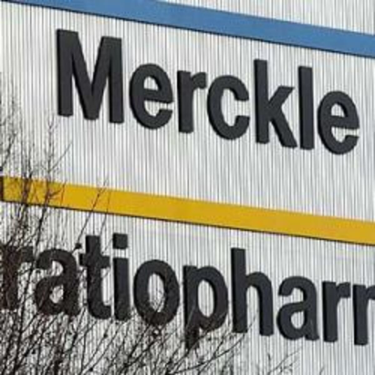La banca exige a los Merckle vender Ratiopharm para rescatar su holding ...