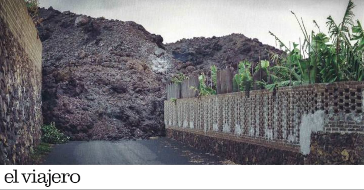 La Palma: el libro que demuestra que son más fuertes que el volcán | El ...