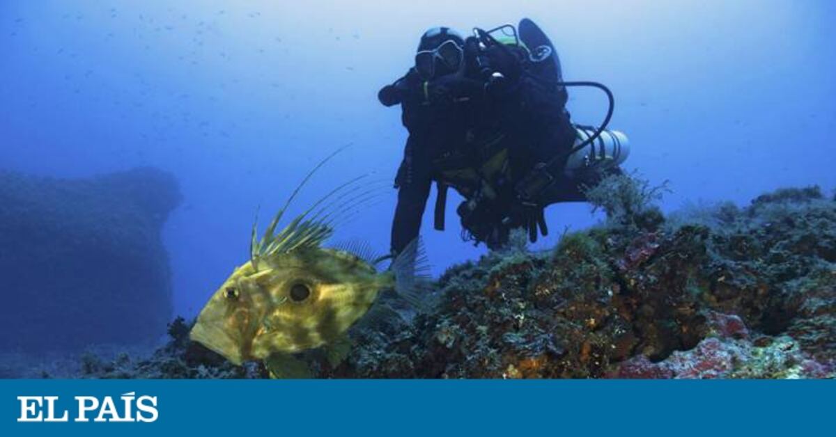 Cinc llocs per bussejar aquest estiu | Quadern | EL PAÍS