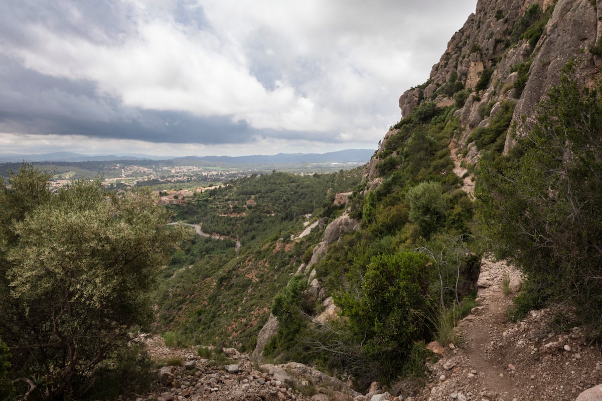 Cronología de la investigación de la muerte del fundador de Mango, Isak ...