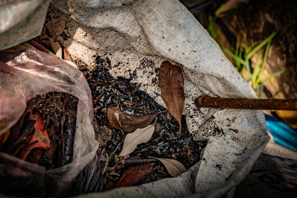 The invisible tragedy of the oil spill in Mexico | International | EL ...