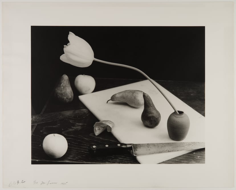 Jan Groover, the photographer who discovered the metaphysics of kitchen ...