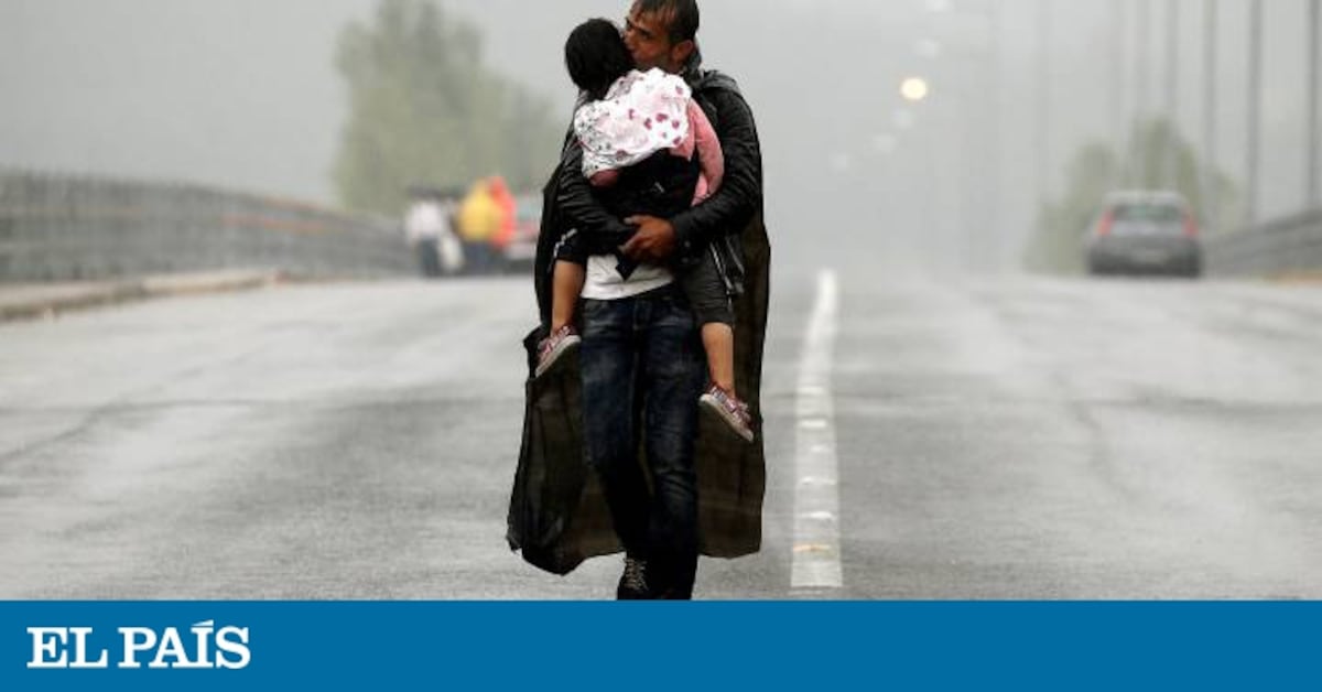 Muere el fotógrafo griego Yannis Behrakis, premio Pulitzer de 2016 y ...
