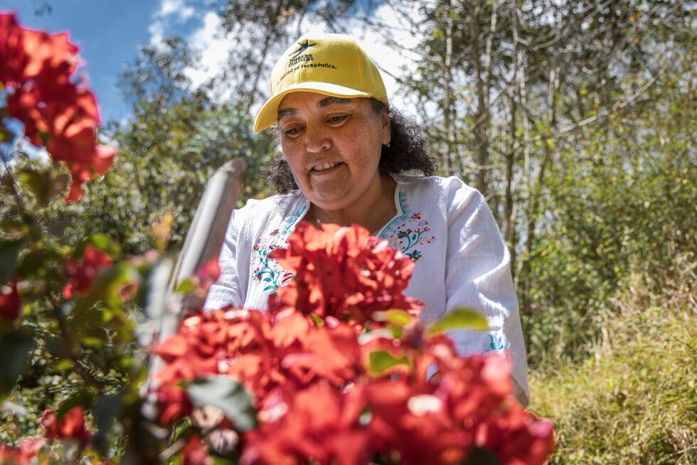 Huertomanías: Sol, plantas y mermelada: cuando los estigmas de salud mental se desarman en un ...