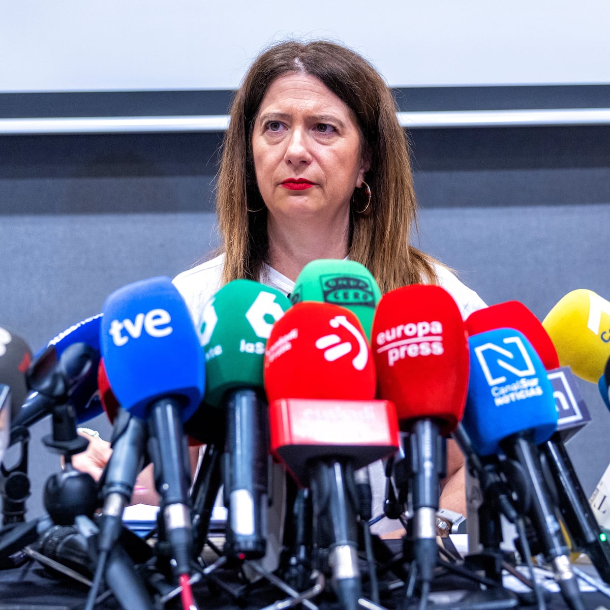 La cúpula socialista presiona a Ferraz para que actúe contra Leire Díez ...