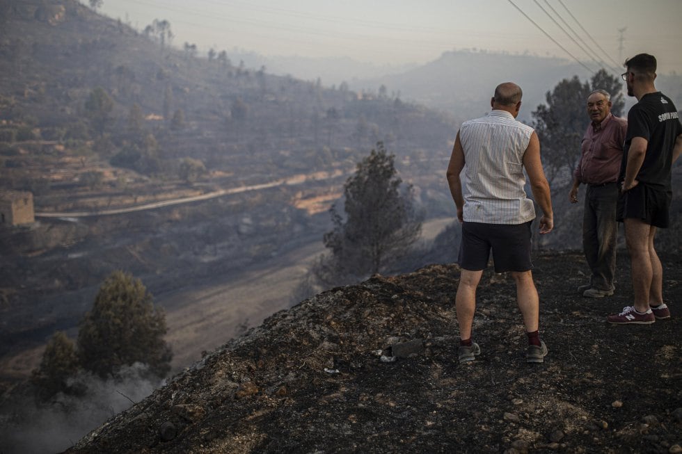 El incendio forestal en Tarragona, en imágenes | Fotos | Noticias de ...