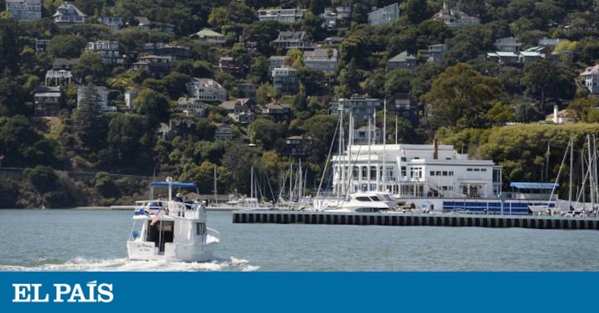 Detenido el empresario mexicano Javier Burillo Azcárraga por la muerte ...